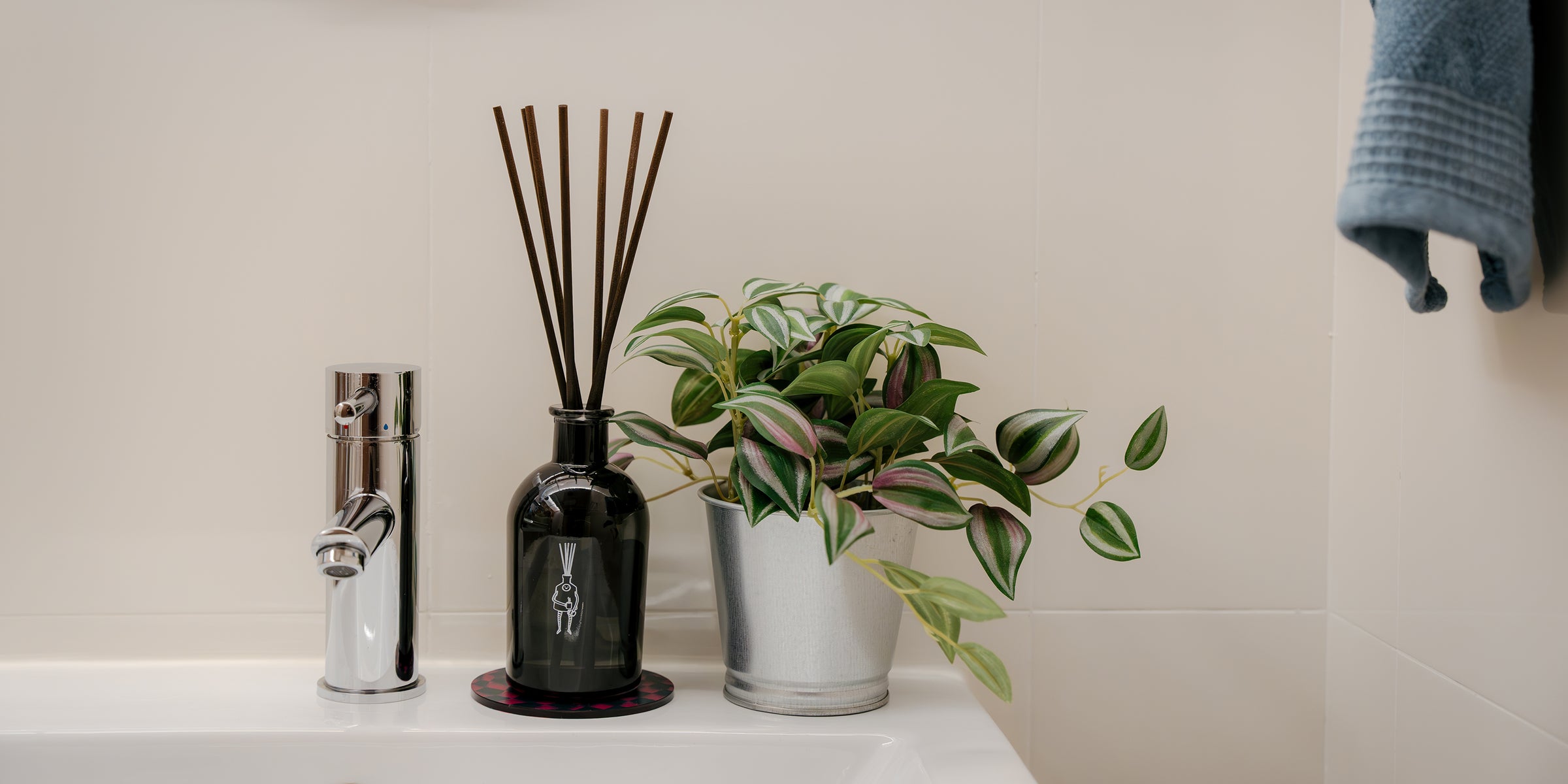 Reed Diffuser Home Fragrance | Pretty Major Home Singapore