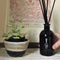 Reed Diffuser Home Fragrance | Pretty Major Home Singapore
